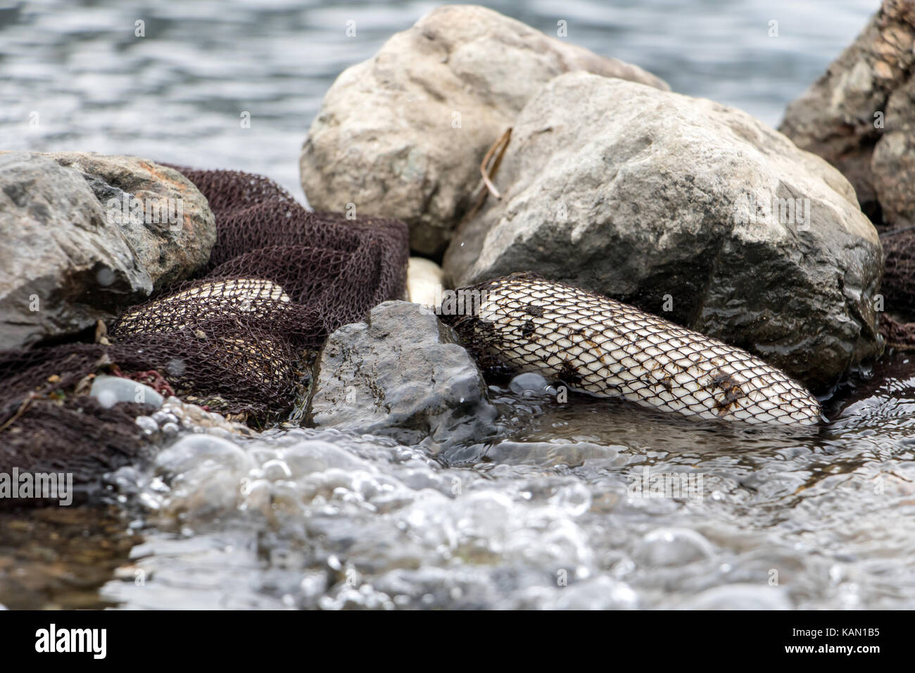 Fishing japan net industrial hi-res stock photography and images - Alamy