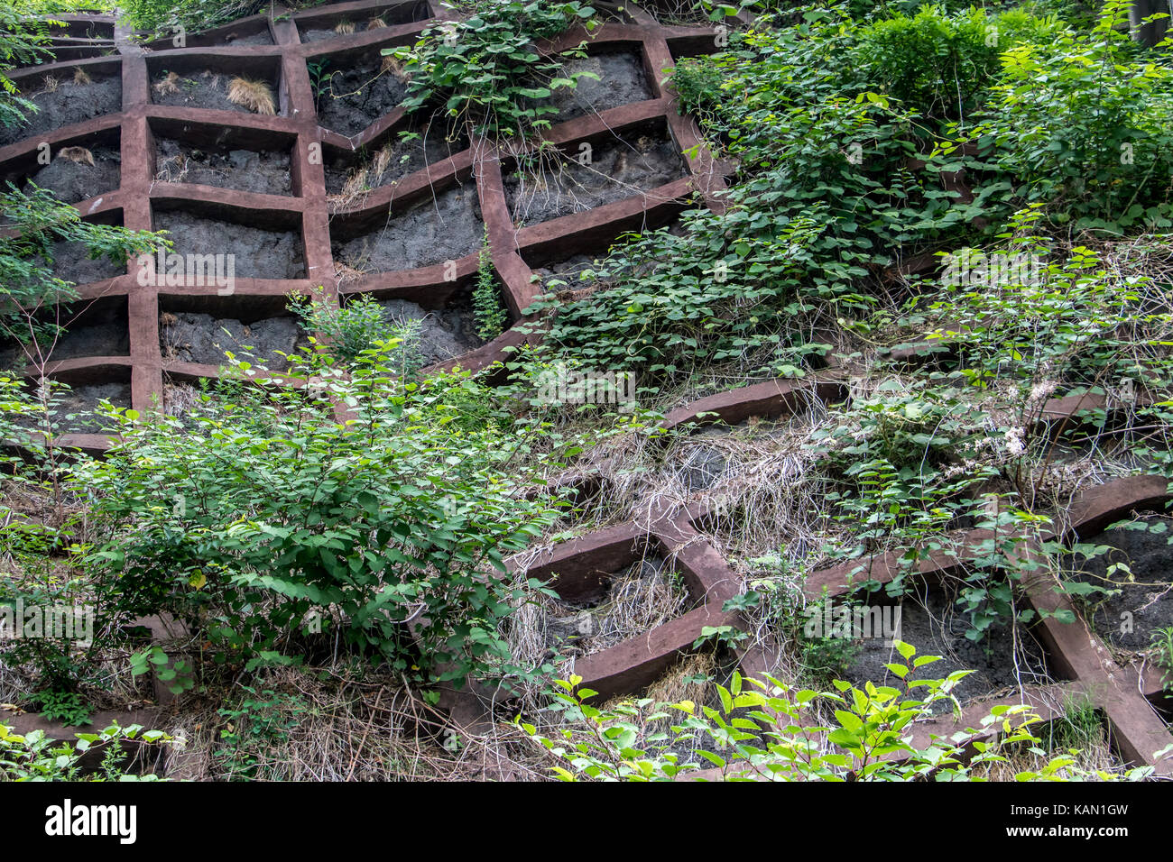 Stabilizing concrete grid in forest over road, Japan Stock Photo - Alamy