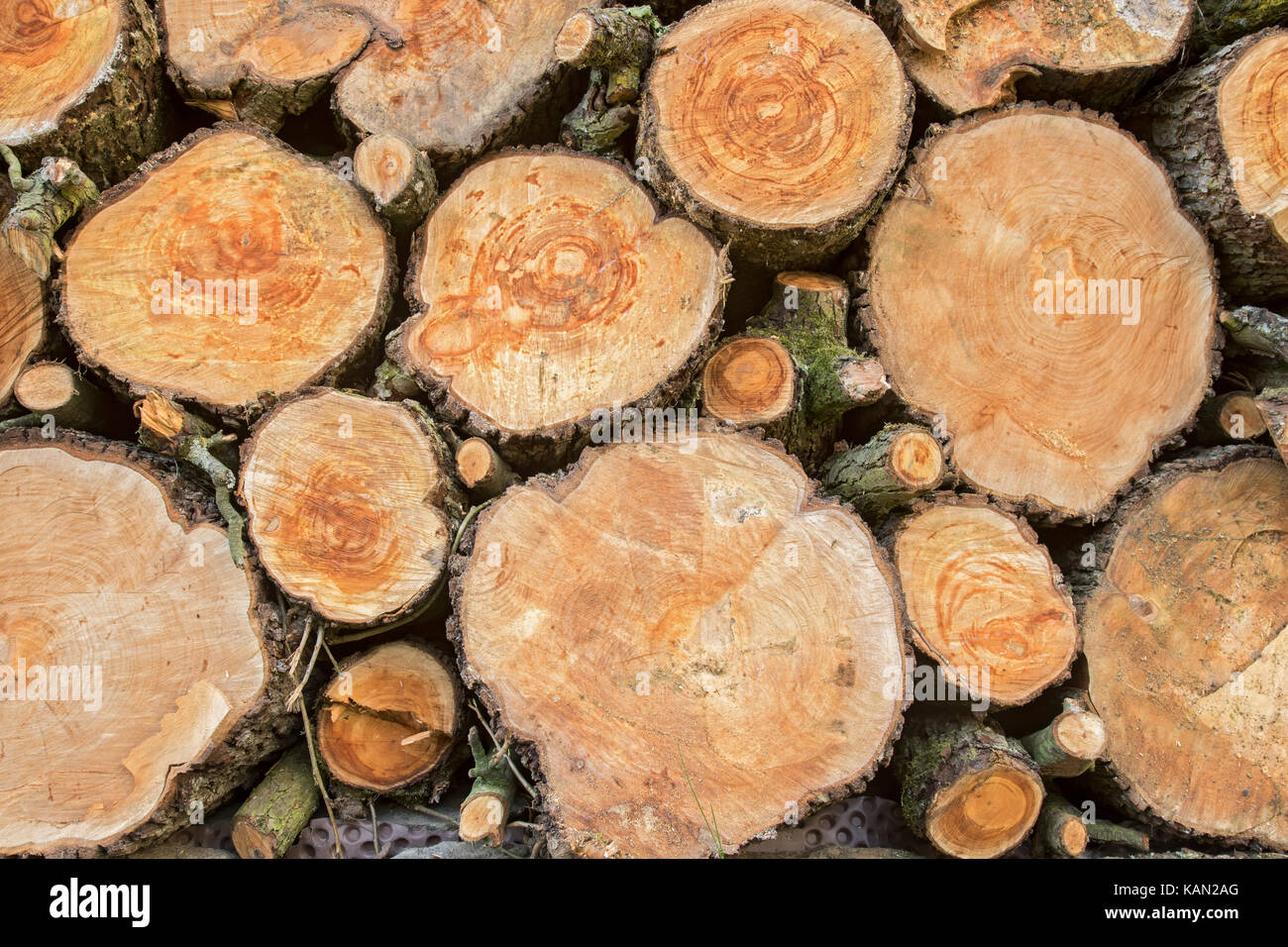 Heap of wood logs ready for winter. Stack of chopped firewood. A pile ...