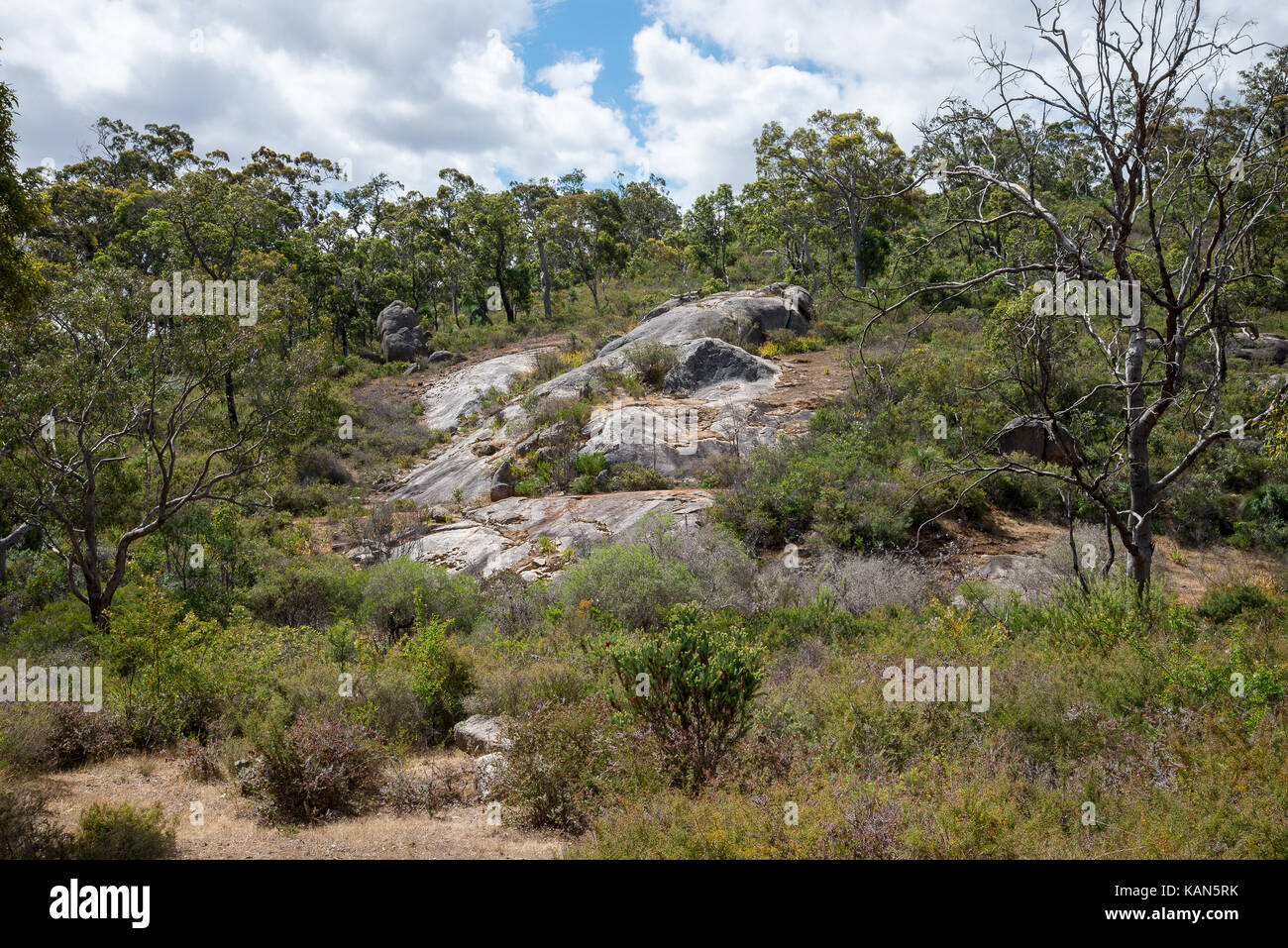 John Forrest National Park rocky landscape near Perth Stock Photo - Alamy