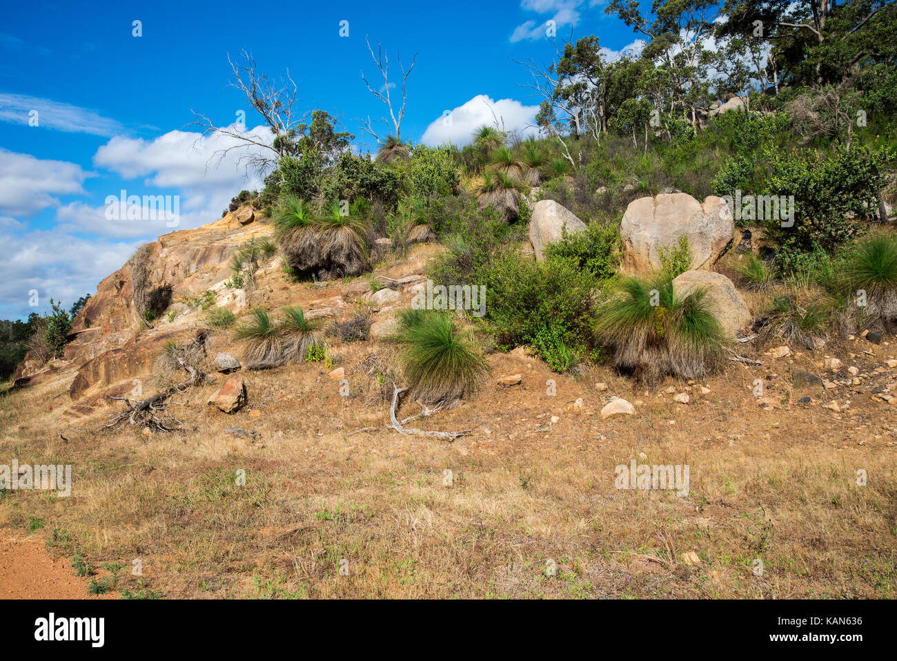 John forest national park hi-res stock photography and images - Alamy