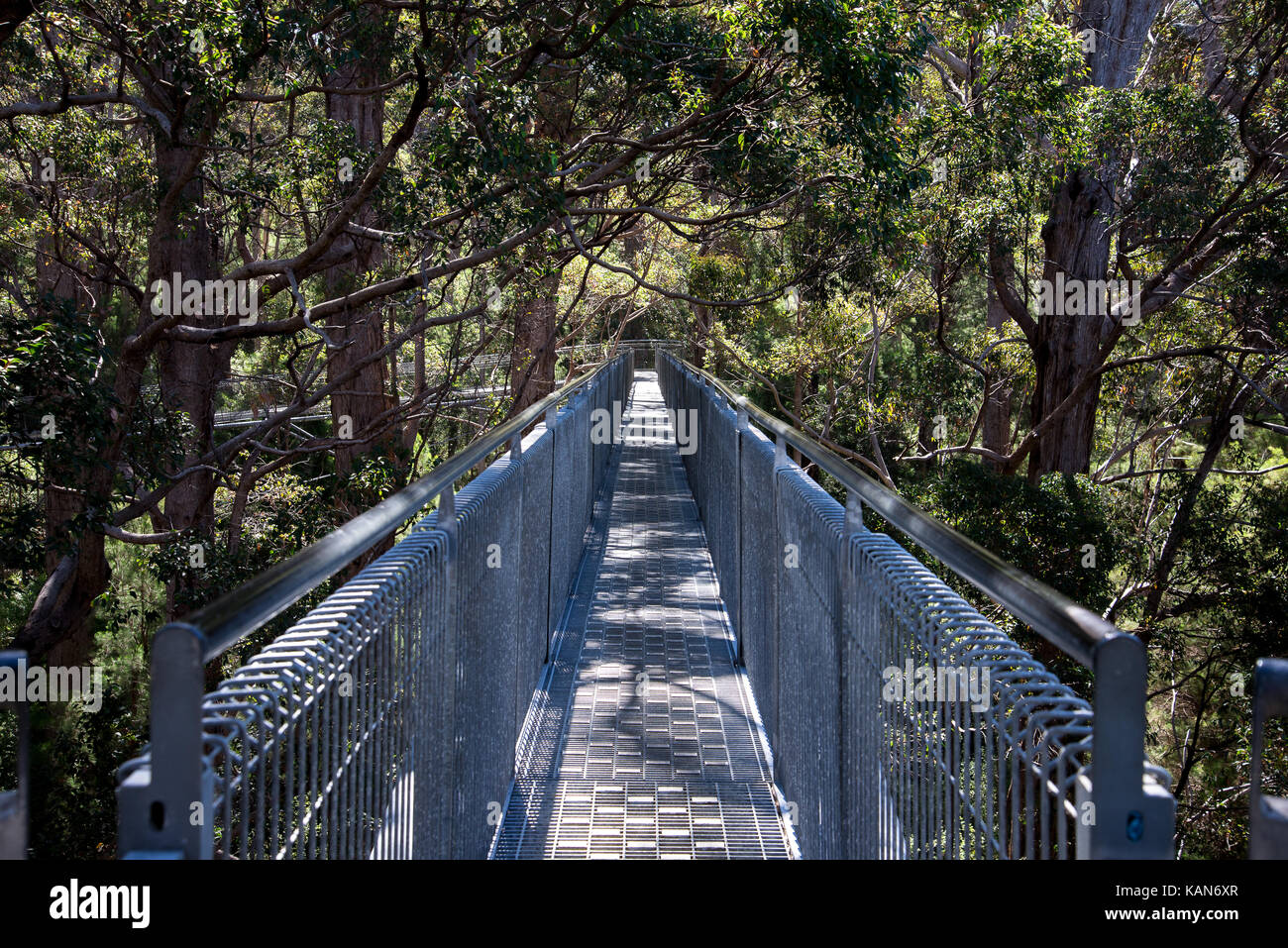 Tree top bridge hi-res stock photography and images - Alamy