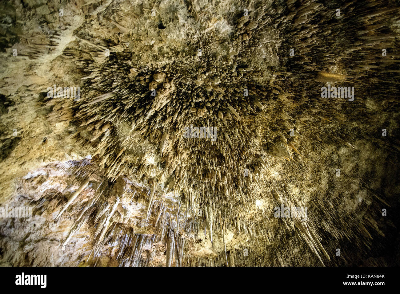 Glorious ceiling hi-res stock photography and images - Alamy