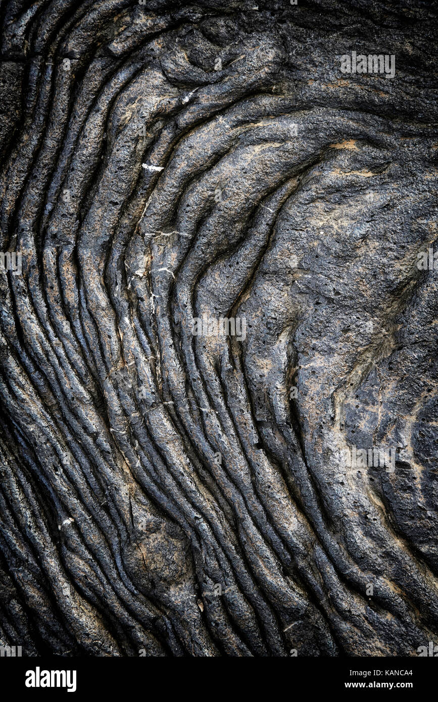 Pahoehoe lava on San Salvador in the Galapagos Islands of Ecuador Stock ...