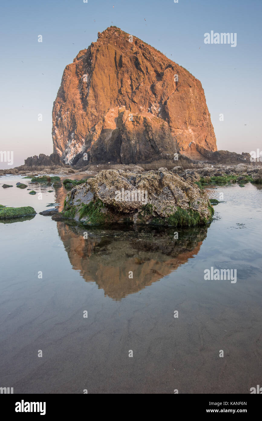 Reflection of Haystack Rock Over Boulder in shallow tide pool Stock ...