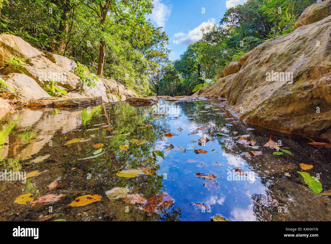 Tranquil stream with leaves in Taiwan Stock Photo - Alamy