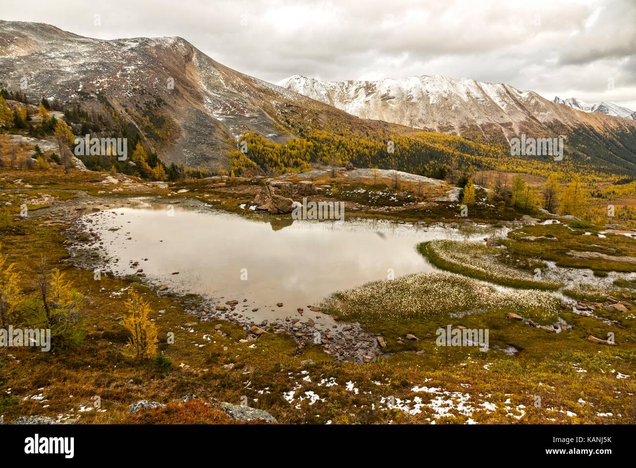 Alpine Lake and Snow Covered Canadian Rocky Mountains Landscape on a ...
