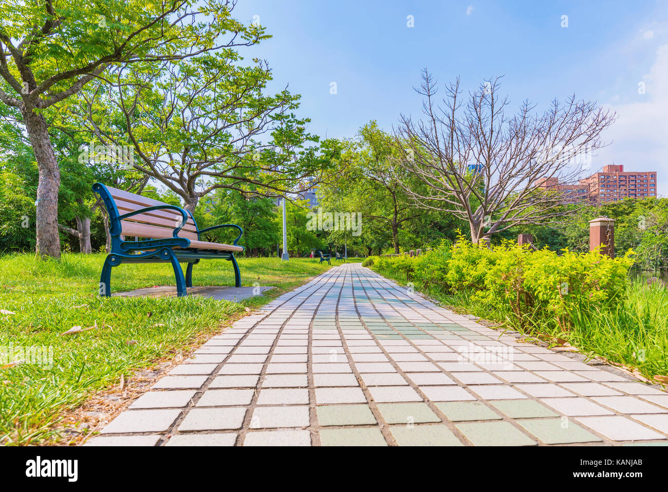 Daan forest park scenic path in Taipei Stock Photo - Alamy