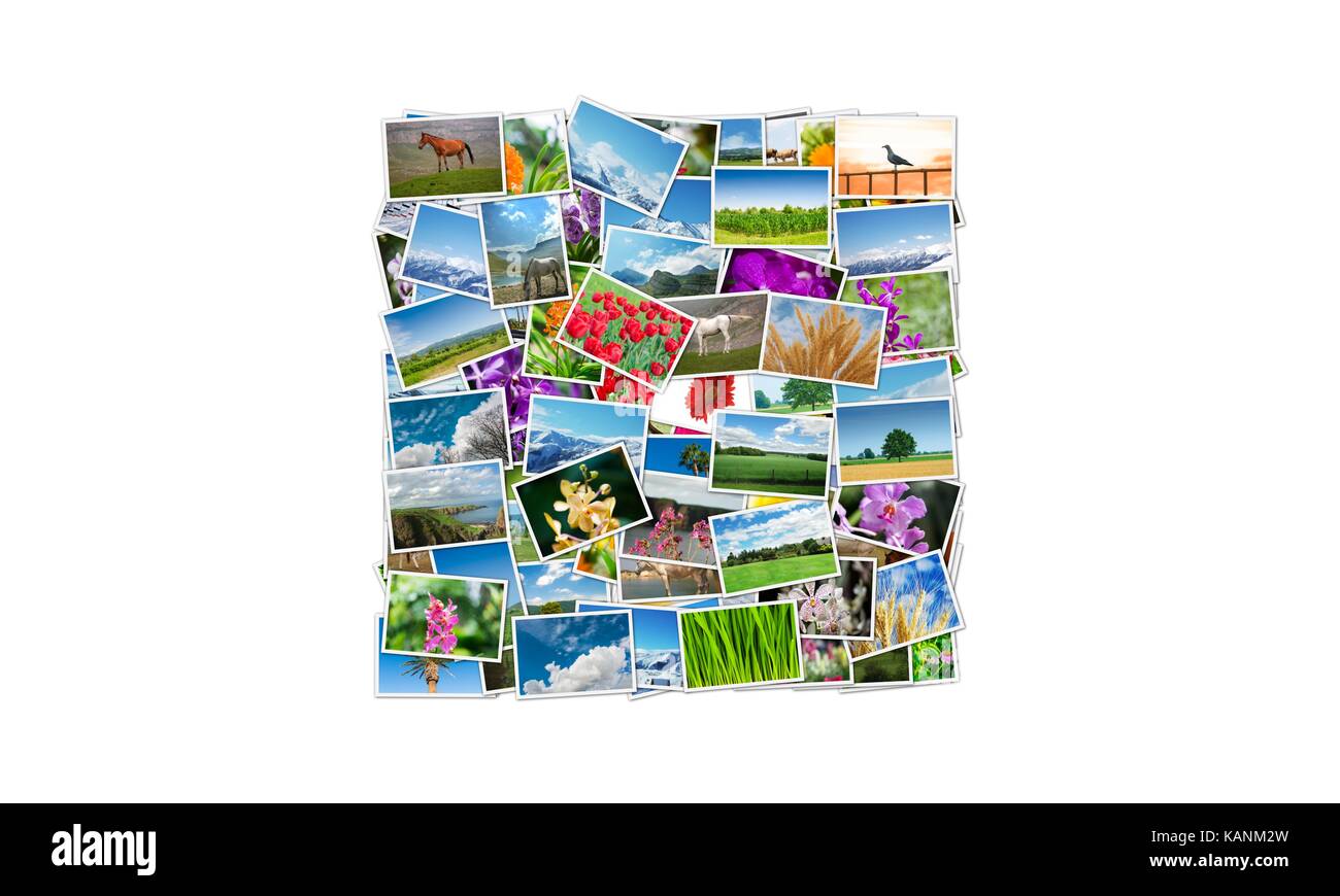 Frame made of various nature photos Stock Photo - Alamy