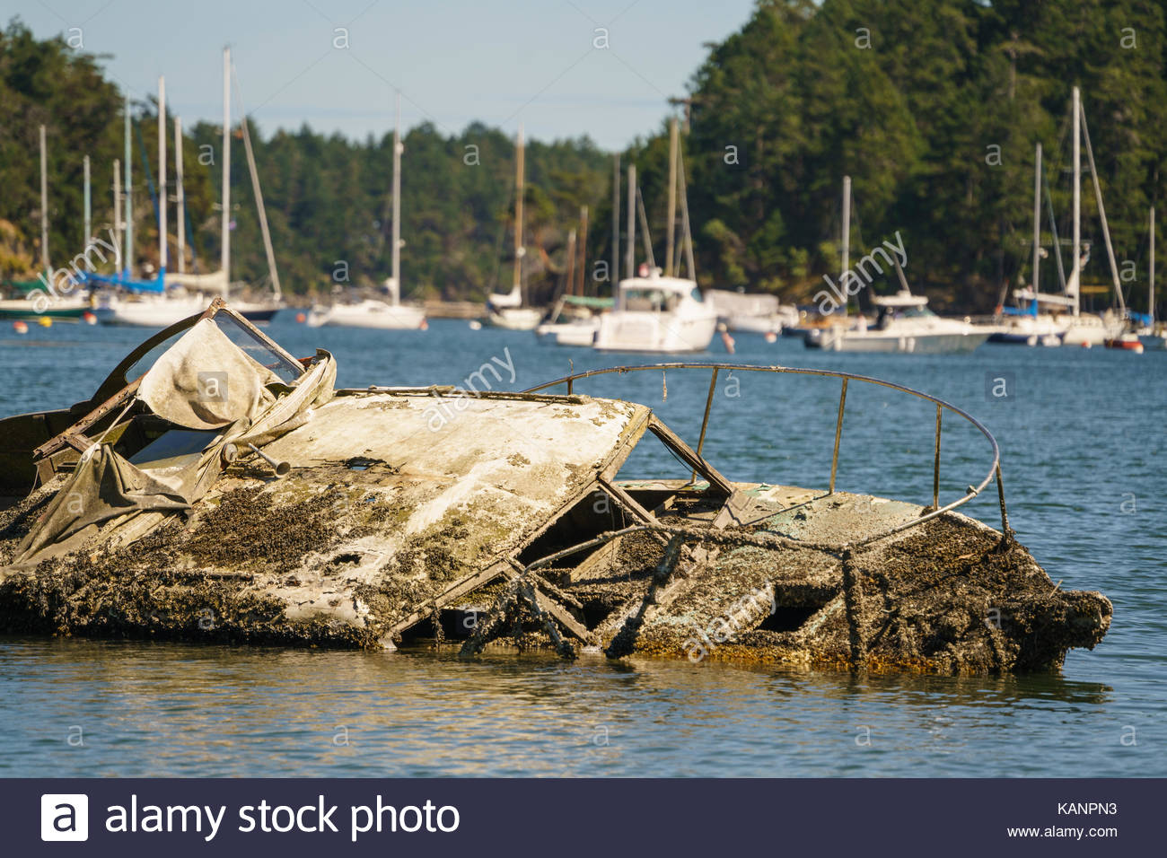 Submerged Boat Stock Photos & Submerged Boat Stock Images - Alamy