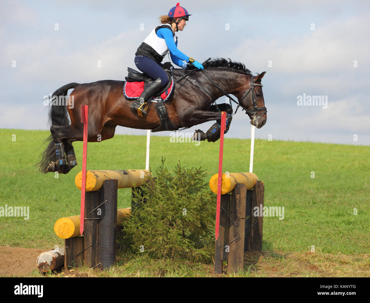 Three day event rider taking part in the cross country Phase Stock ...