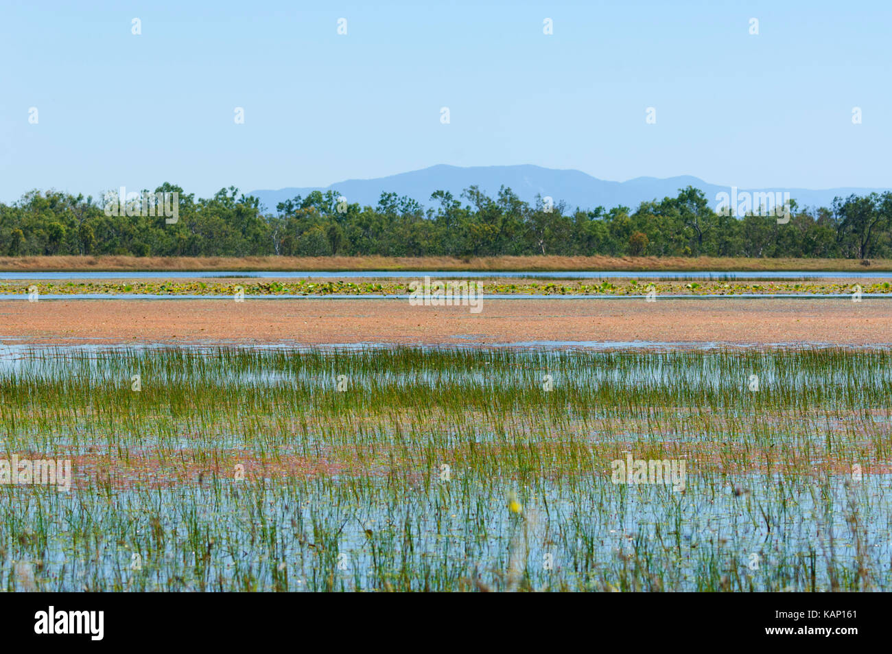 Mareeba Wetlands Nature Reserve, Atherton Tablelands, North Queensland ...