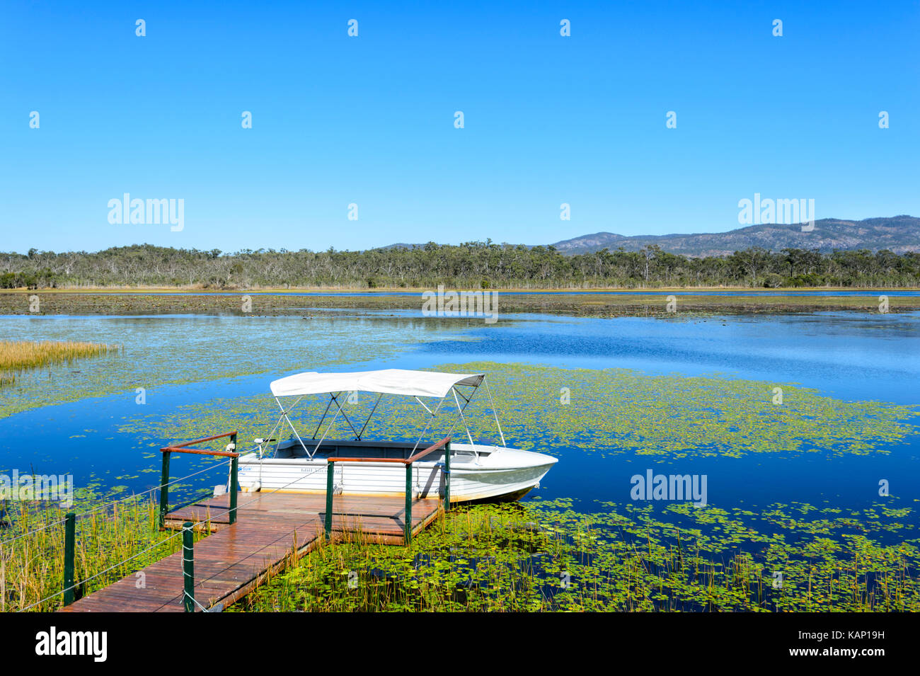 Jetty at Mareeba Wetlands, Atherton Tablelands, North Queensland, QLD ...