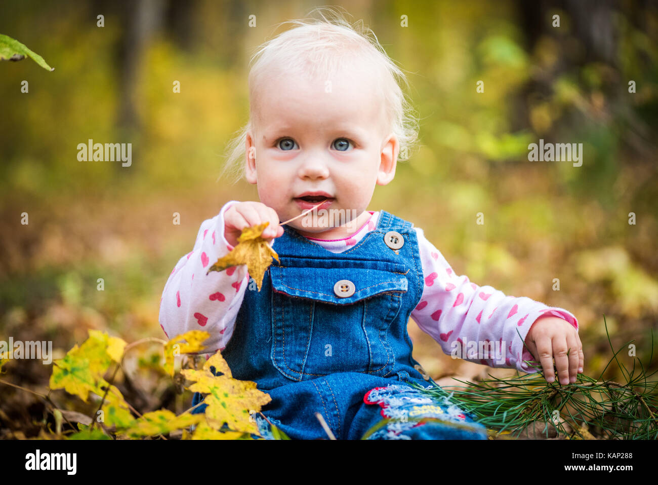 happy little child, baby girl laughing and playing in the autumn on the ...