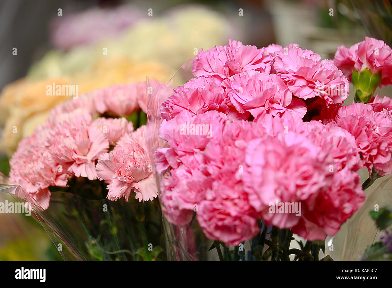 Pink carnation bouquet hi-res stock photography and images - Alamy