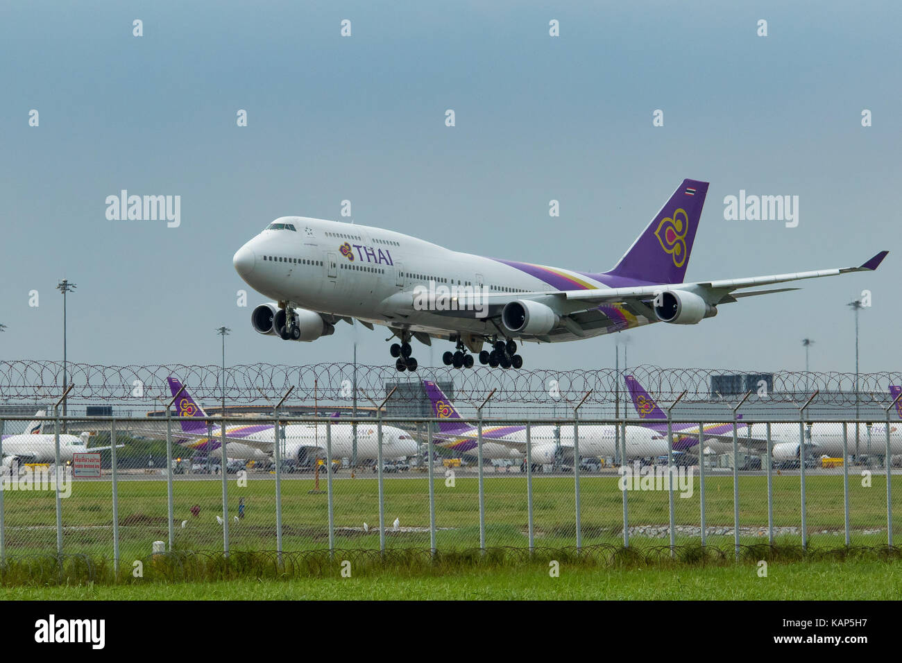 BANGKOK THAILAND - SEP25,2017 : boeing 747 of thai airway plane ...