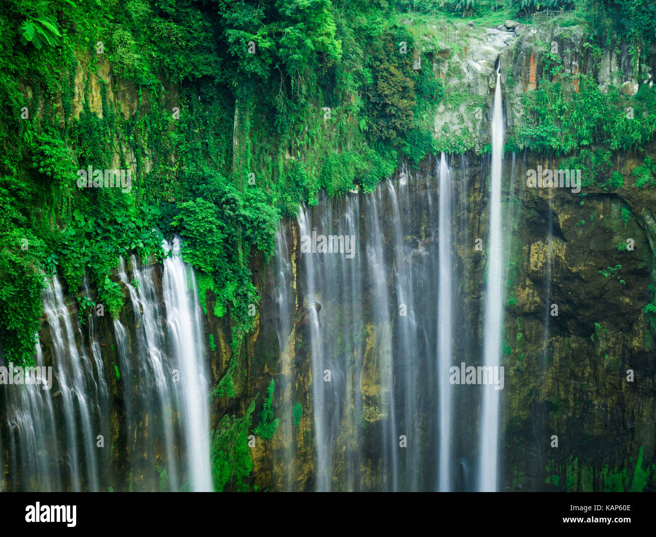 Waterfall in East Java Indonesia Stock Photo - Alamy