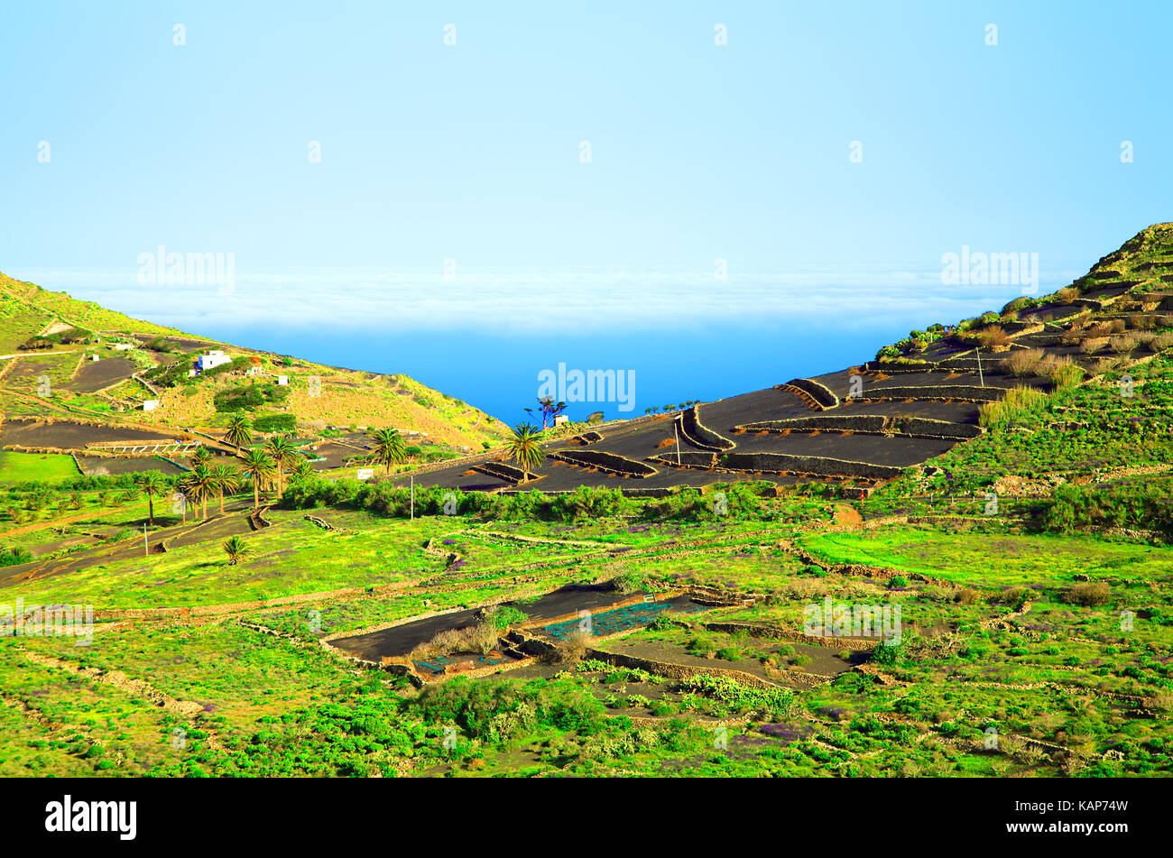 Volcanic landscape, Island Lanzarote, Canary Islands, Spain Stock Photo ...