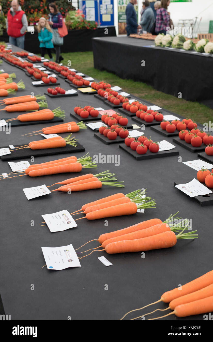 Vegetable growing competition hi-res stock photography and images - Alamy
