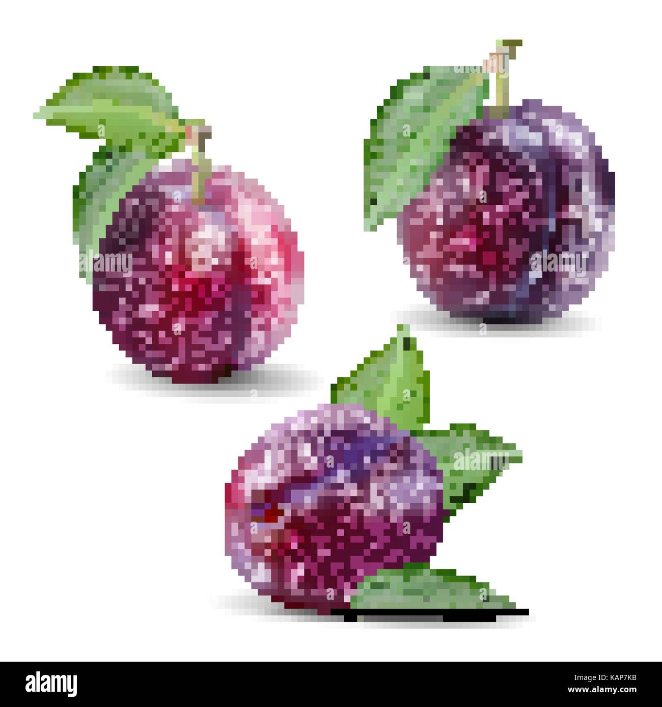 Quality realistic vector plum collection. Plums, isolated on white ...