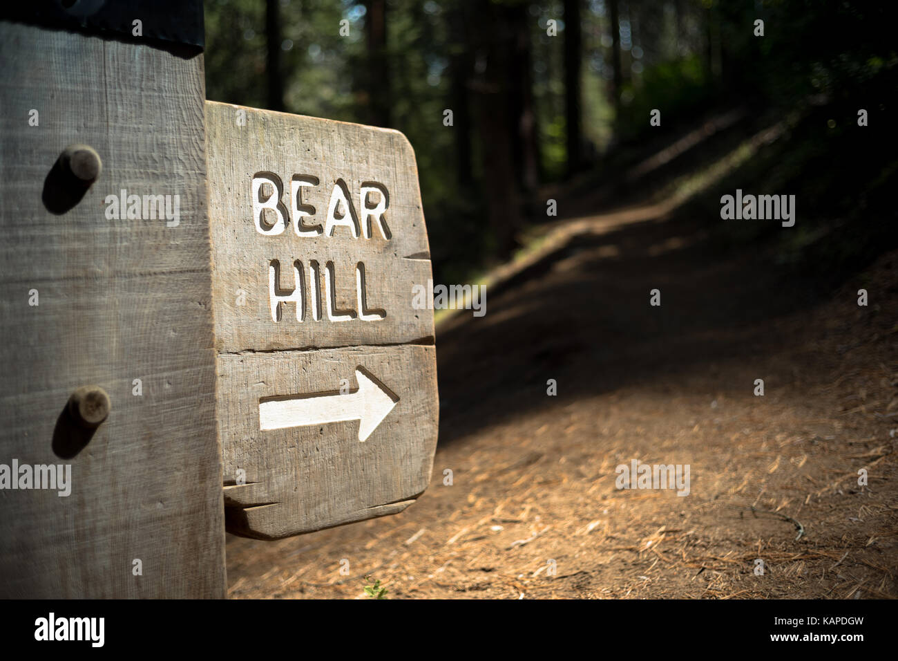 Grizzly bear warning sign hi-res stock photography and images - Alamy