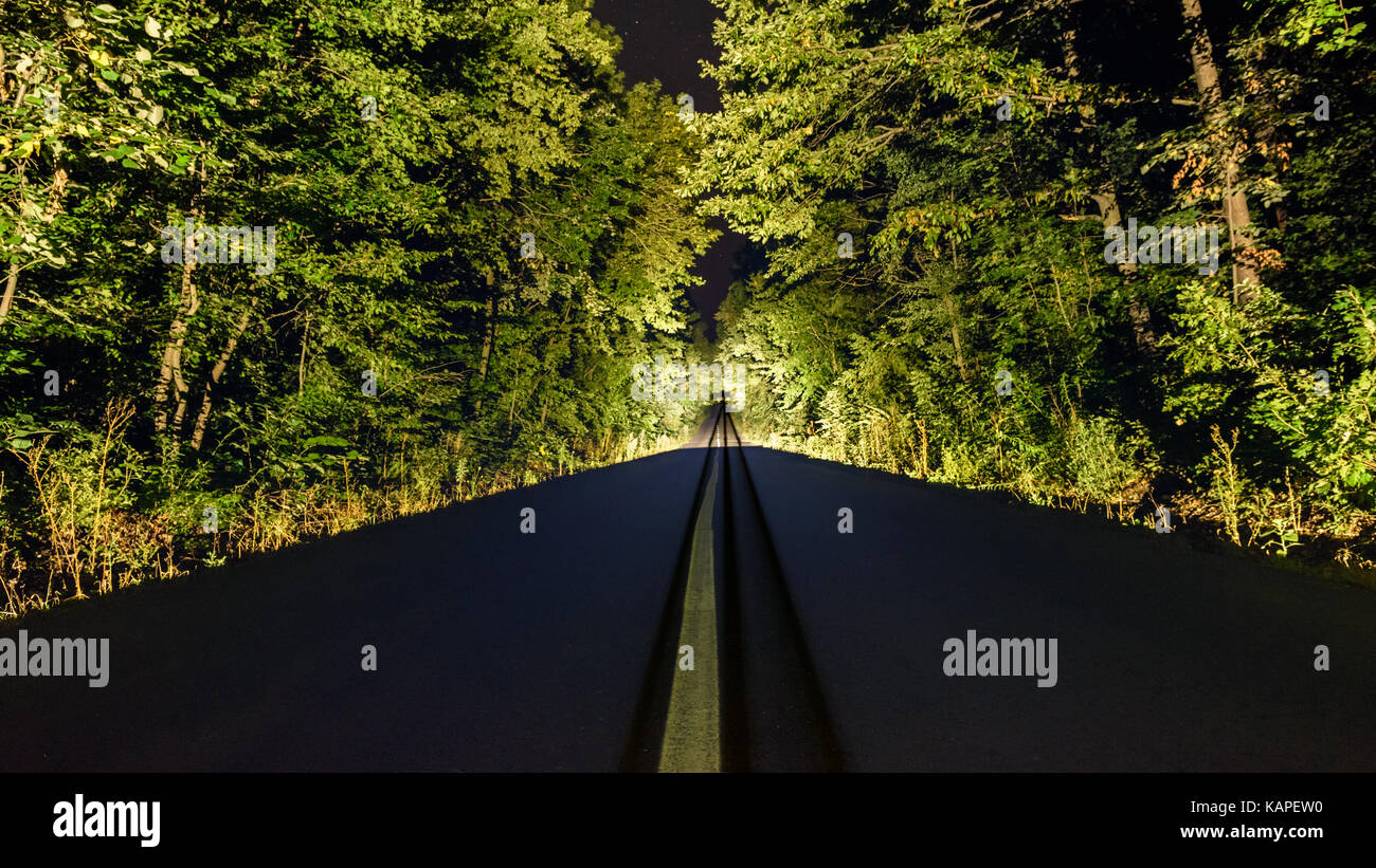 Night Road on dark forest Stock Photo - Alamy