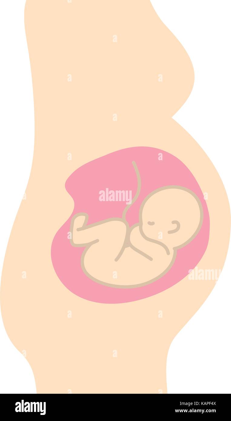 Baby umbilical cord Stock Vector Images - Alamy