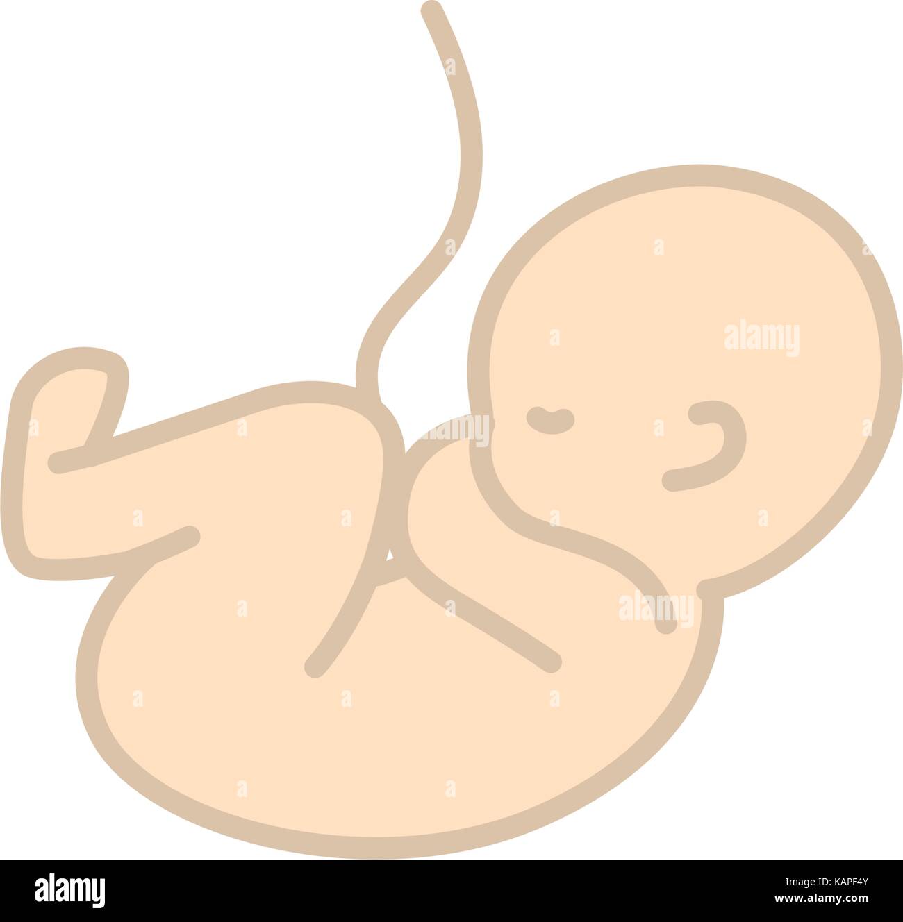 nice baby with umbilical cord Stock Vector Image & Art - Alamy