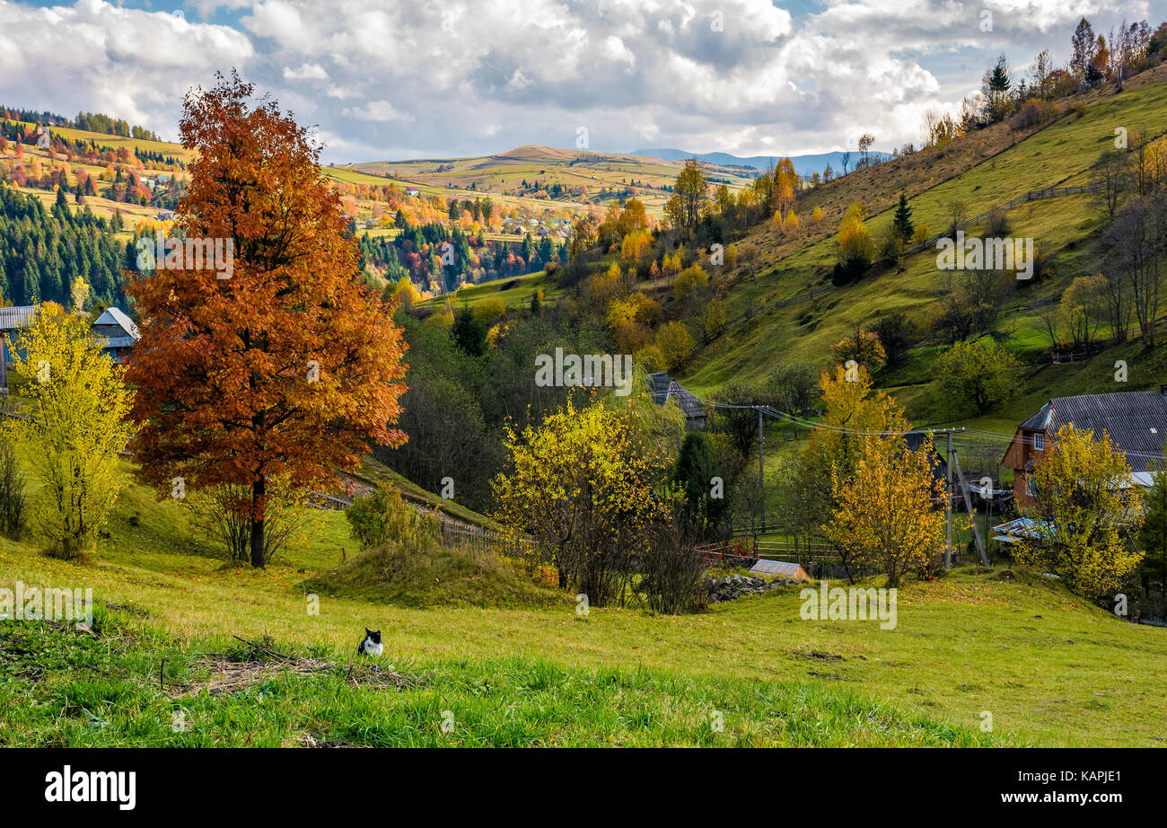 Tree village hi-res stock photography and images - Alamy