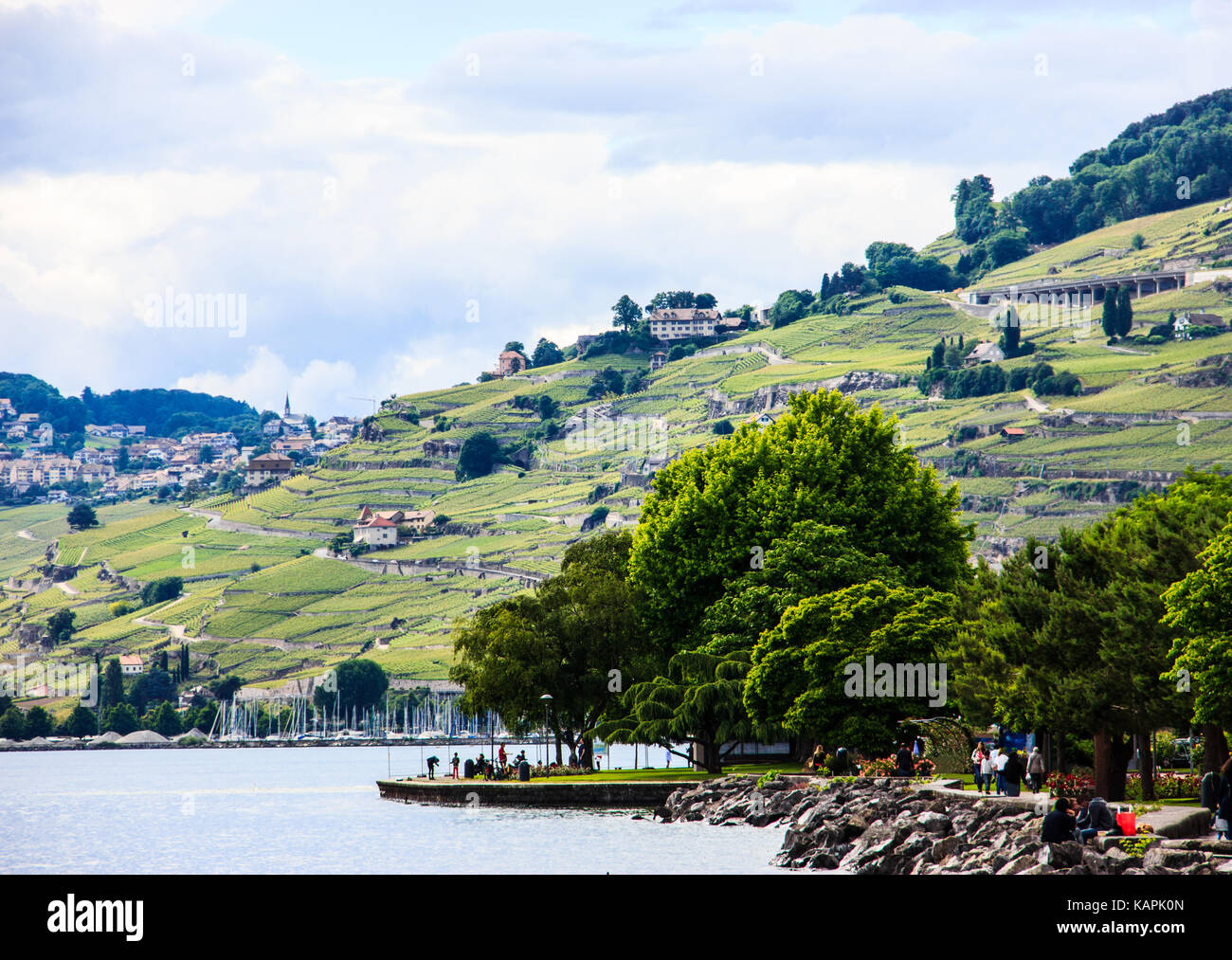 Beautiful Summer landscape of Lake Geneva, Lavaux vineyard terraces and ...