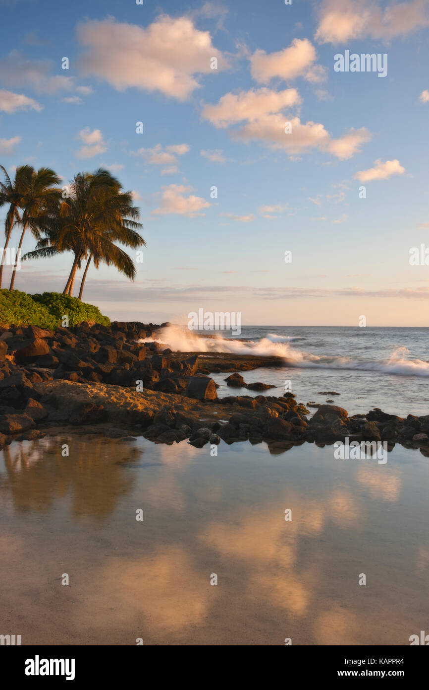Beach With Palm Trees And Waves