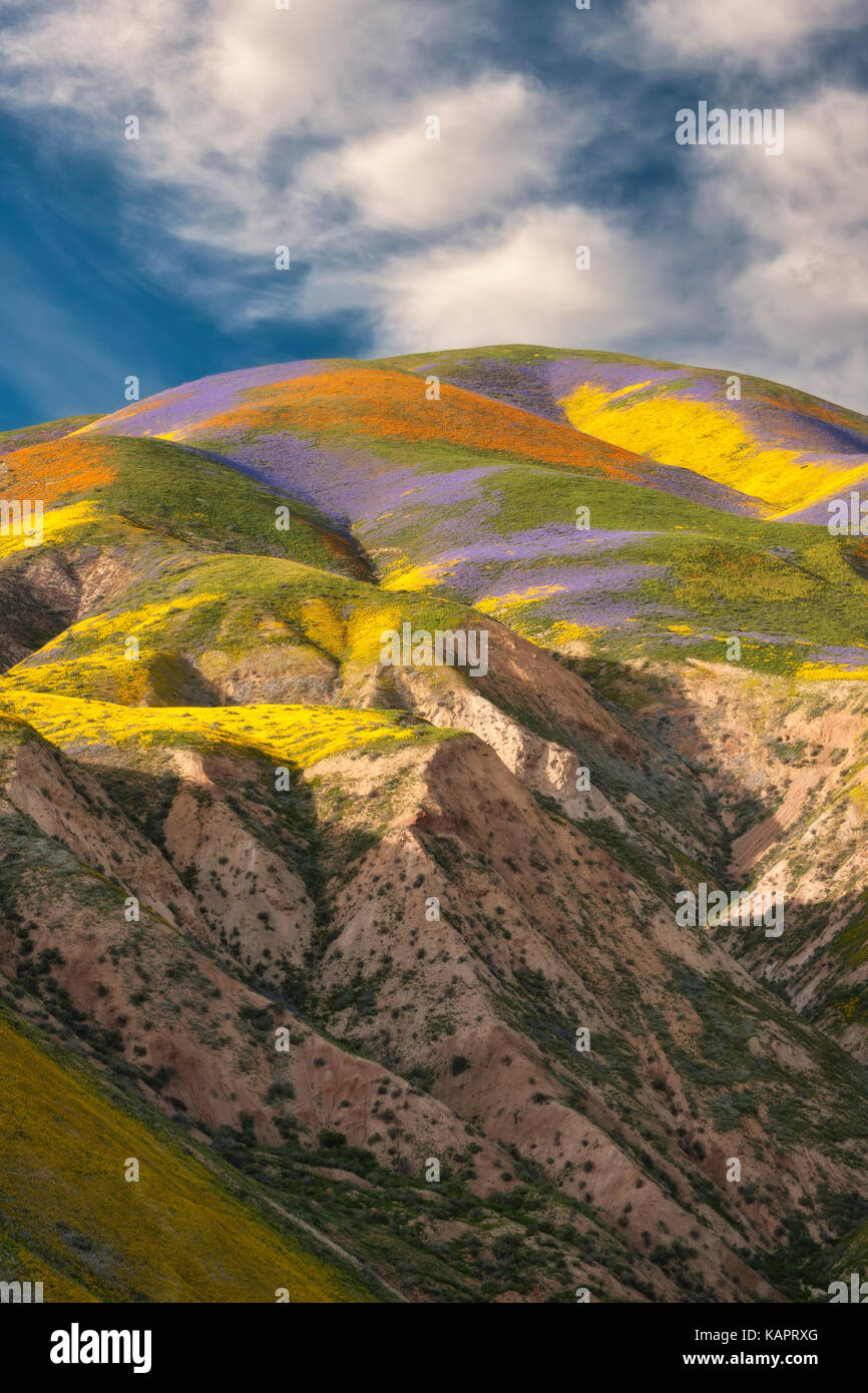California kern county taft carrizo plain national monument temblor ...