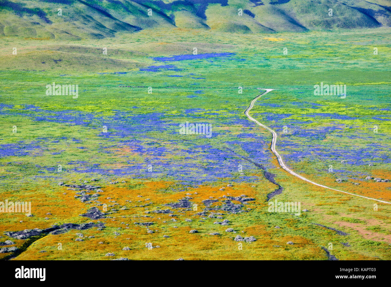 California kern county taft carrizo plain national monument temblor ...