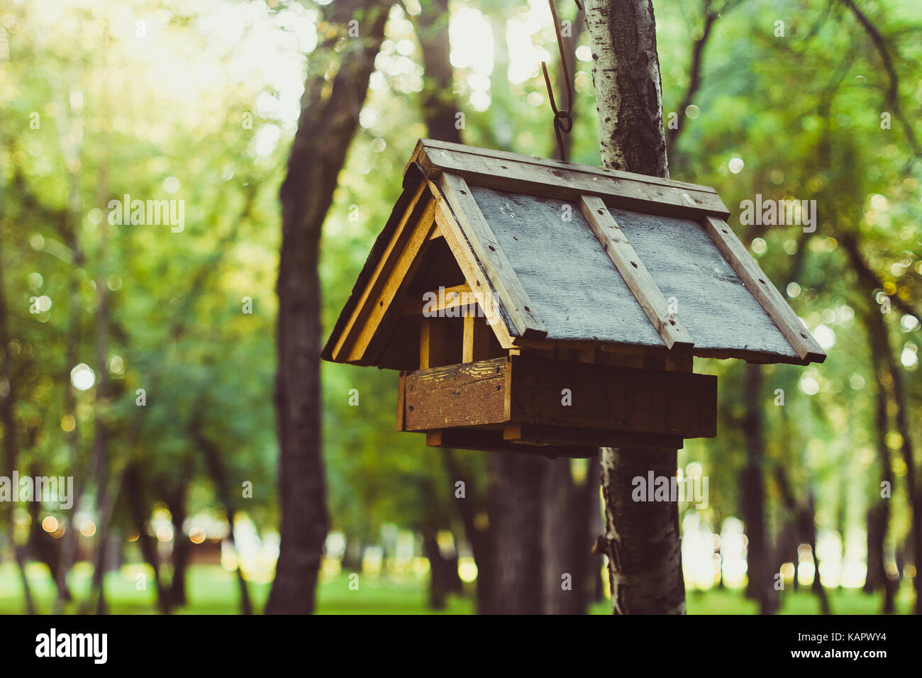 wooden birdhouse on a tree in the forest and park Stock Photo - Alamy