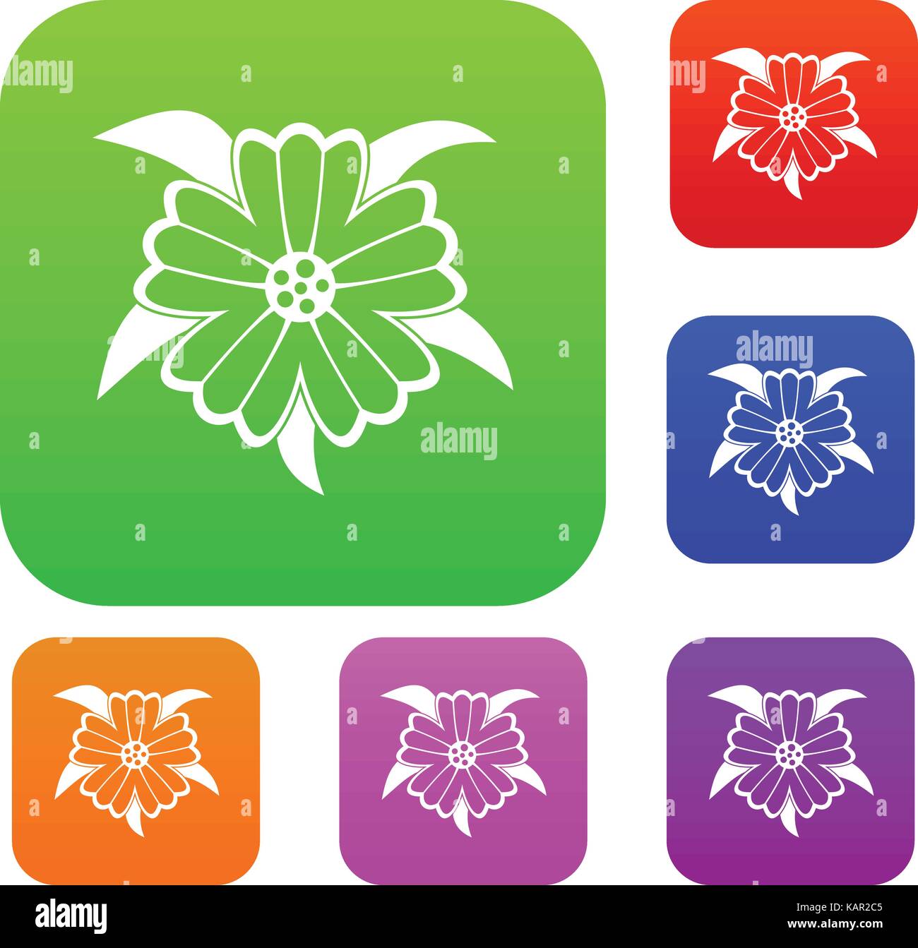 Flower set color collection Stock Vector Image & Art - Alamy