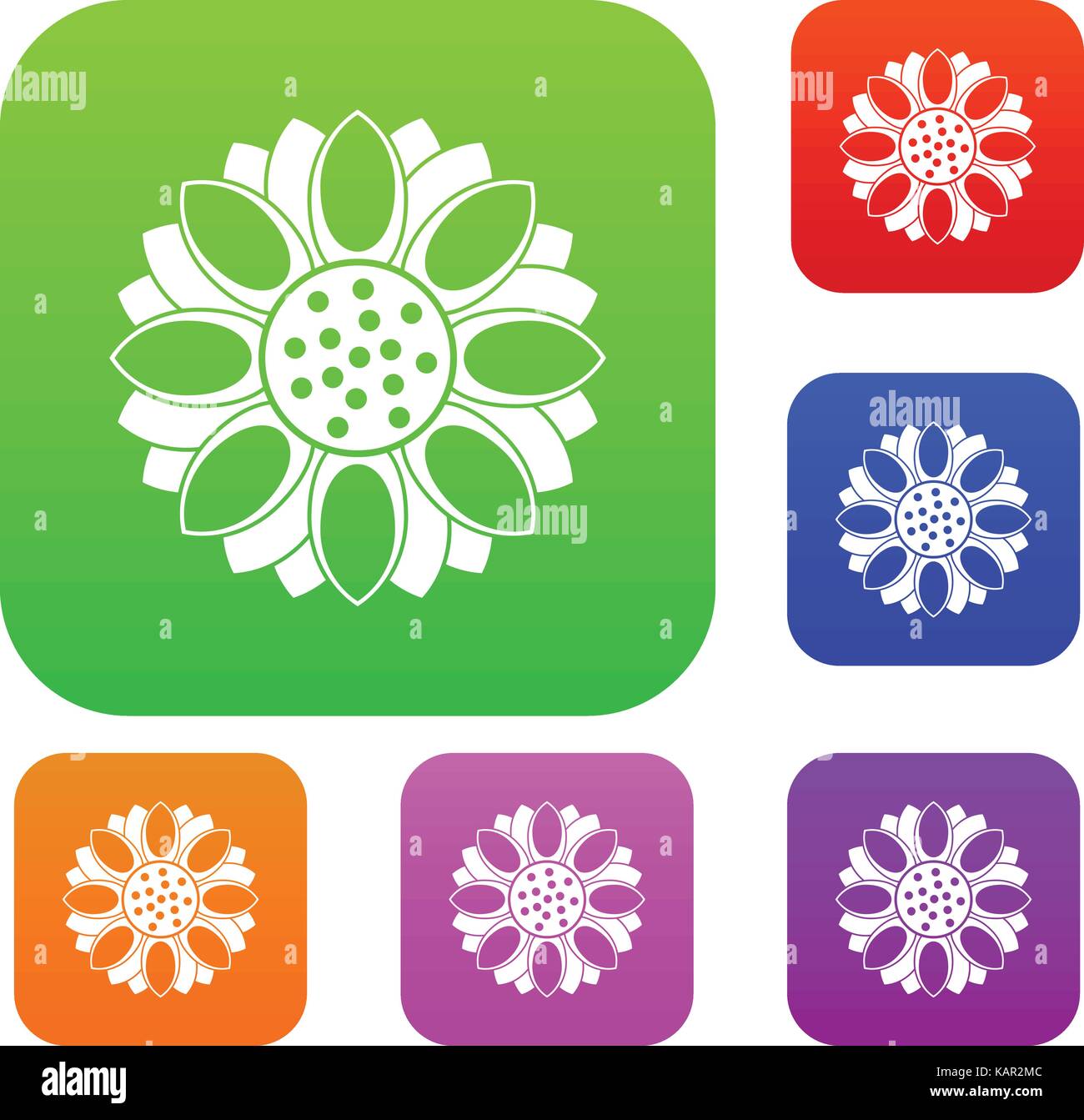 Flower set color collection Stock Vector Image & Art - Alamy