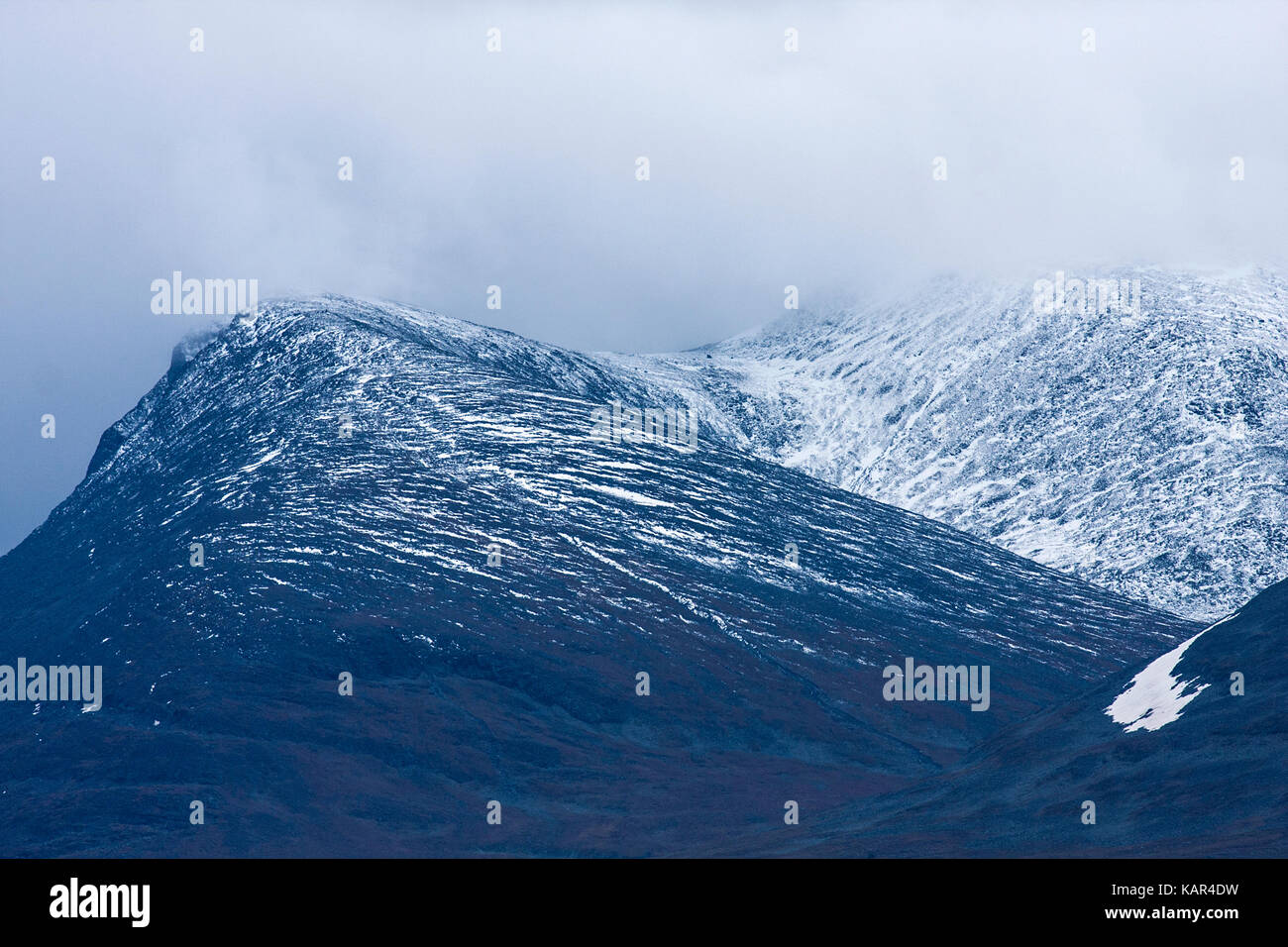 Tundra above tree line hi-res stock photography and images - Alamy