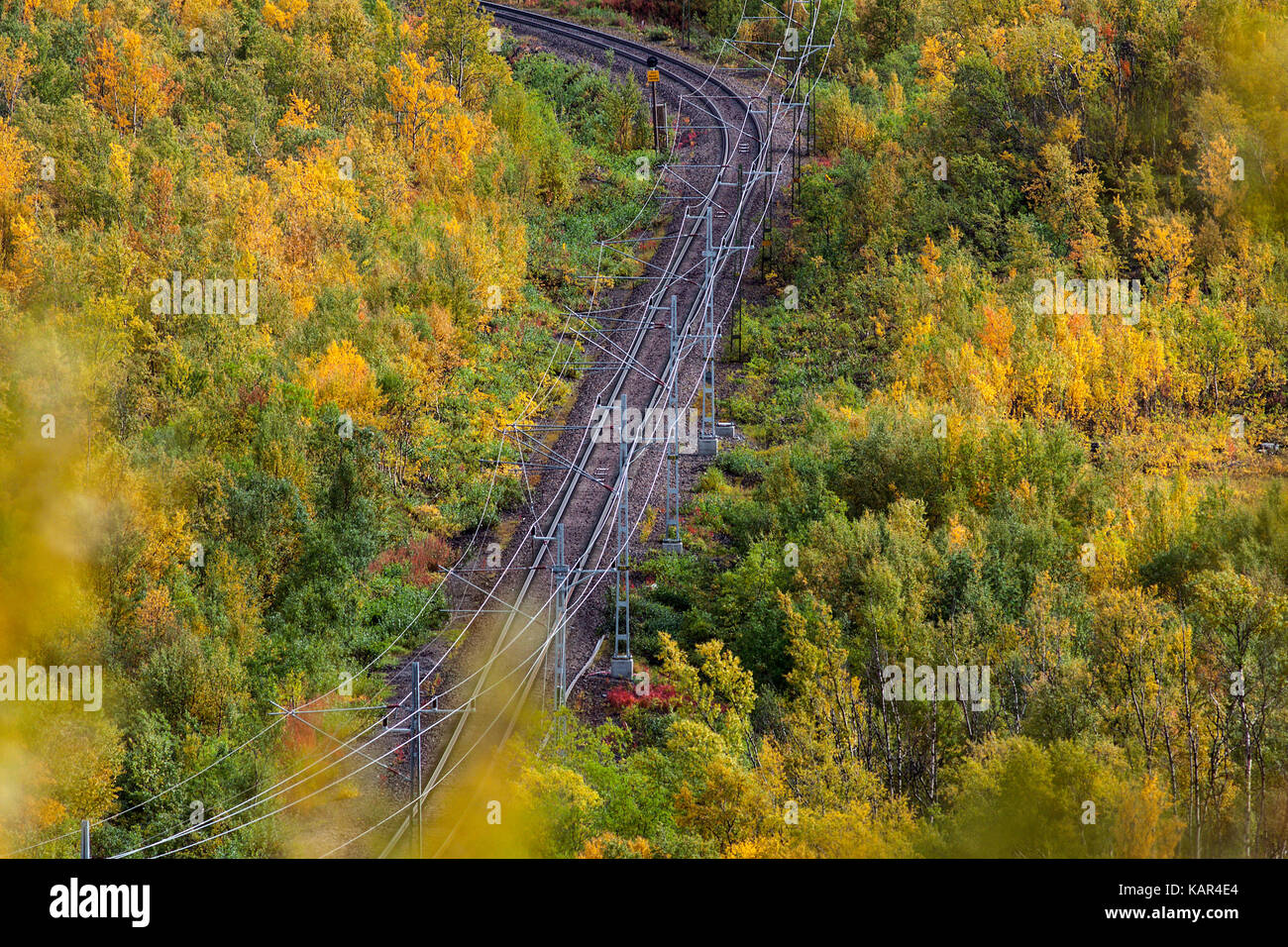 Railroad, railway in colorful forest. Trees in different colors. Shot ...