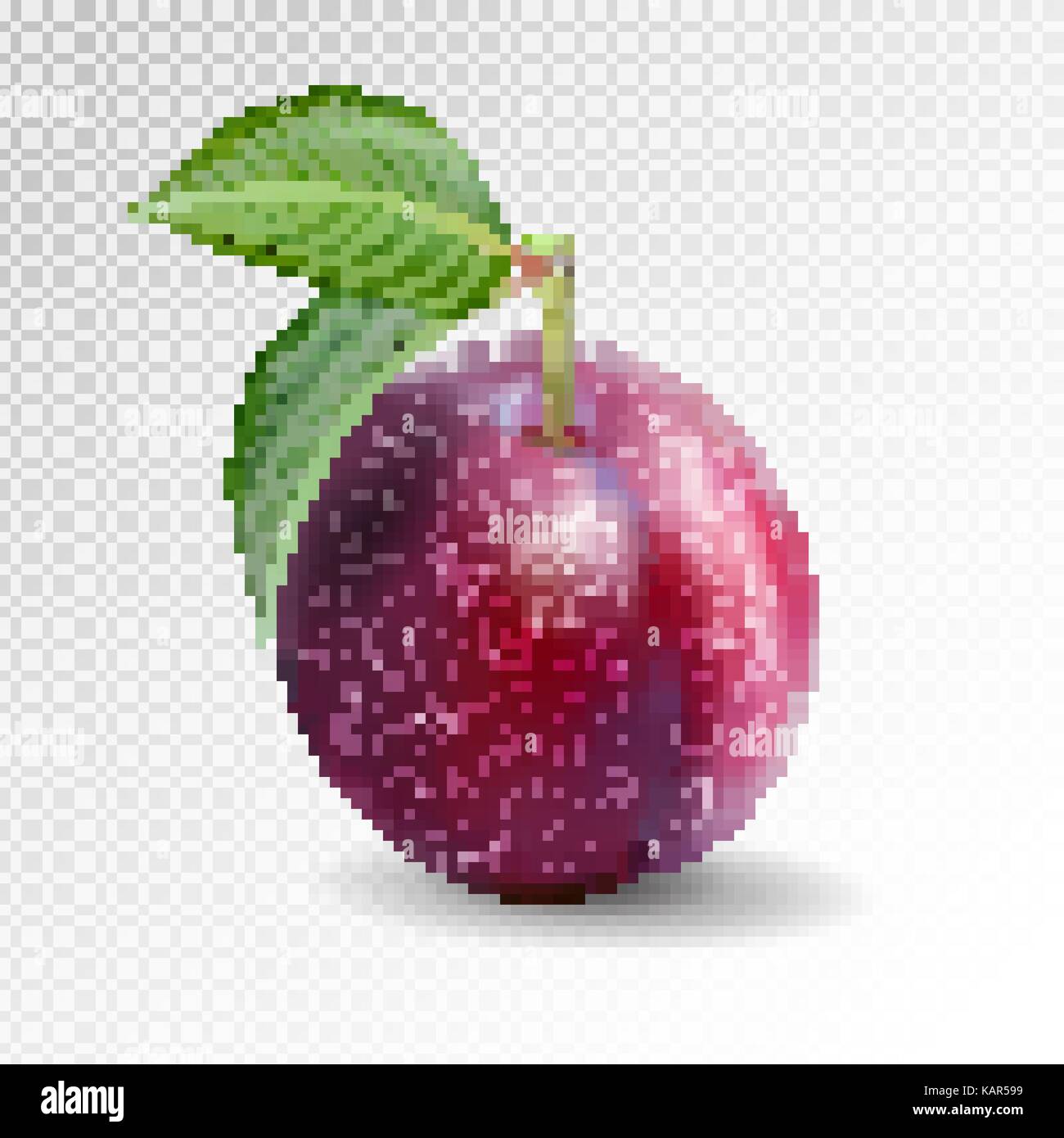 Red plum on a tranparent background. Quality realistic vector Stock ...