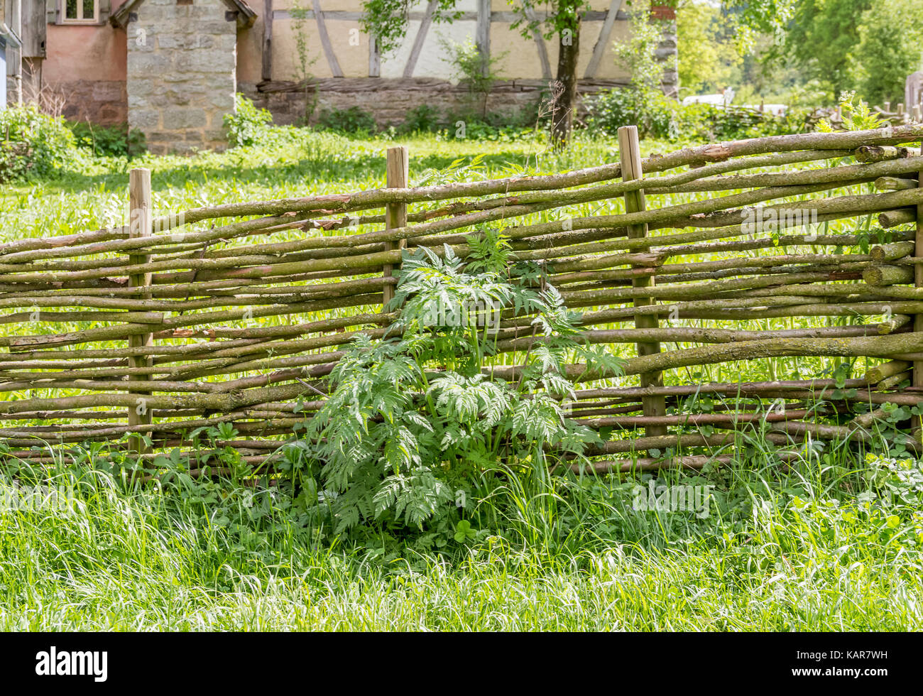 Braided wooden fence hi-res stock photography and images - Alamy