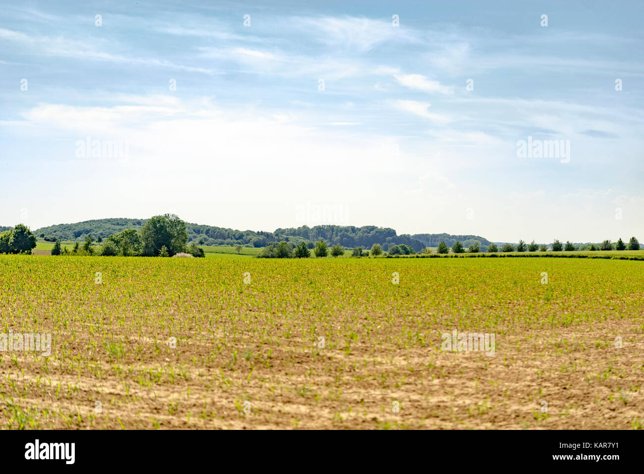 idyllic rural landscape at spring time in Hohenlohe, a district in ...