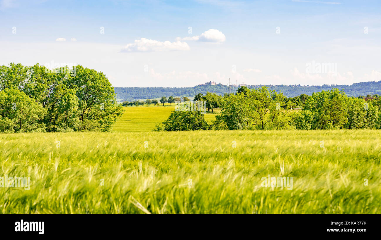 idyllic rural landscape at spring time in Hohenlohe, a district in ...