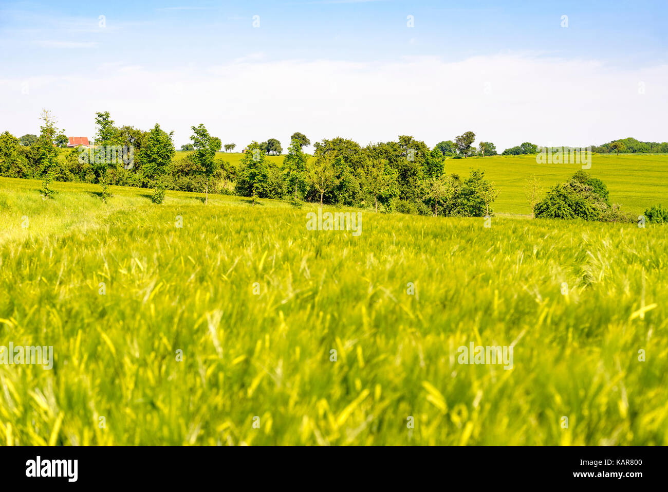 idyllic rural landscape at spring time in Hohenlohe, a district in ...