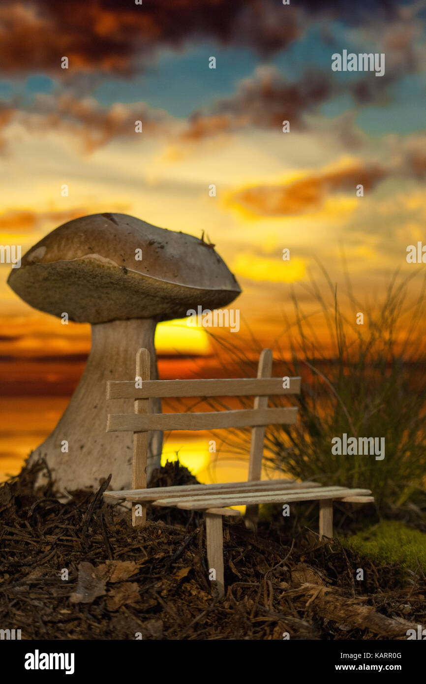 Small bench with the giant mushroom Stock Photo - Alamy