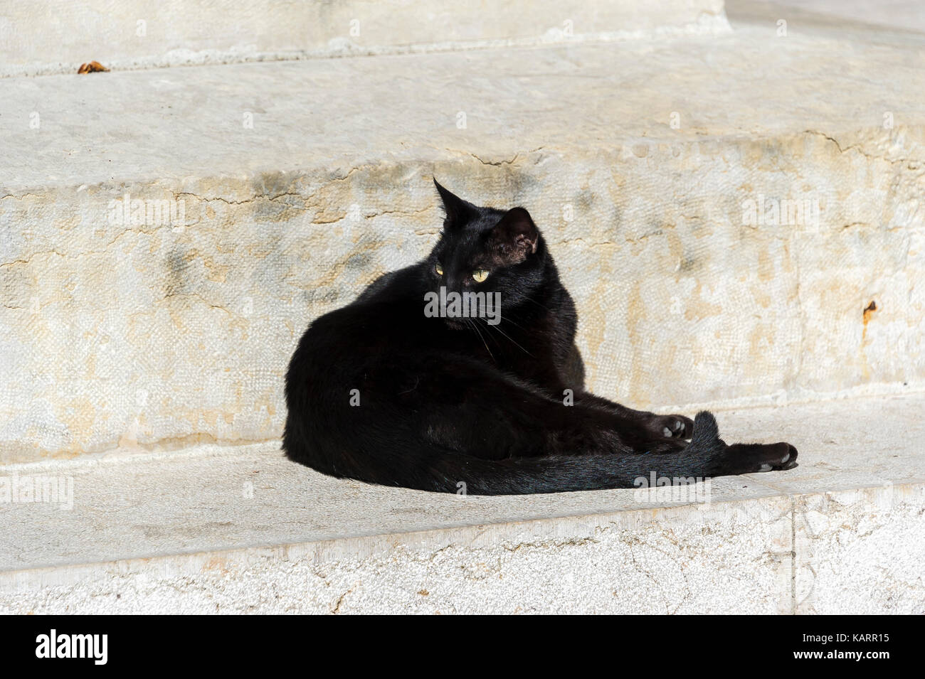 Queue verte hi-res stock photography and images - Alamy