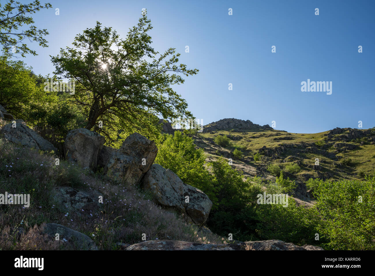 Macin mountains of Dobrogea, Romania Stock Photo - Alamy