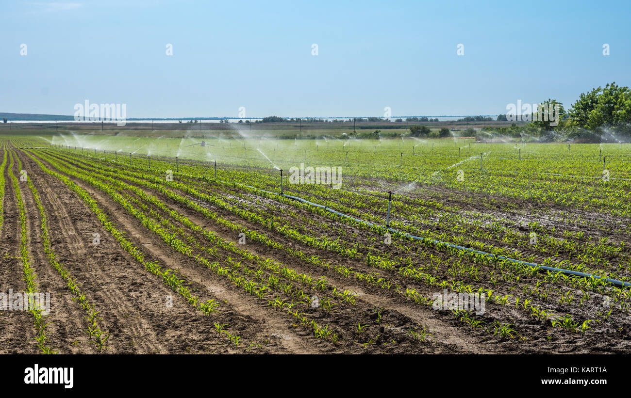 Irrigation system on a large farm field Stock Photo - Alamy