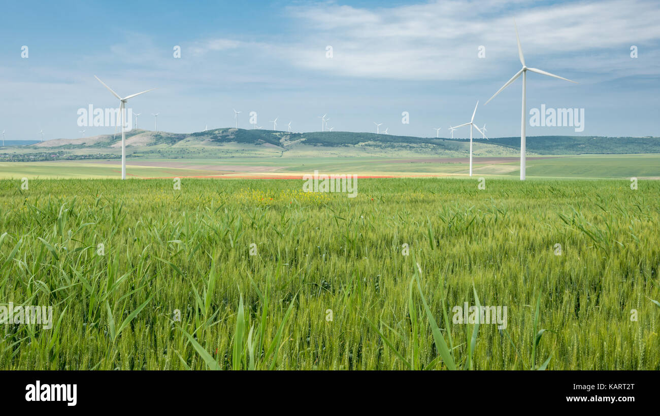 Wind turbines from Dobrogea, Romania Stock Photo - Alamy
