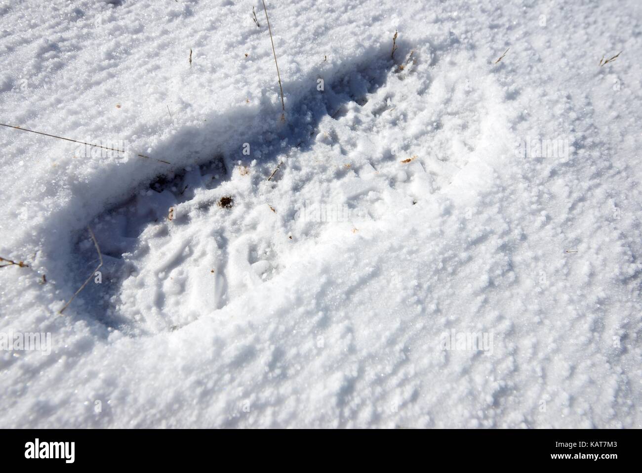Footprint of a mountain boot in the snow Stock Photo - Alamy