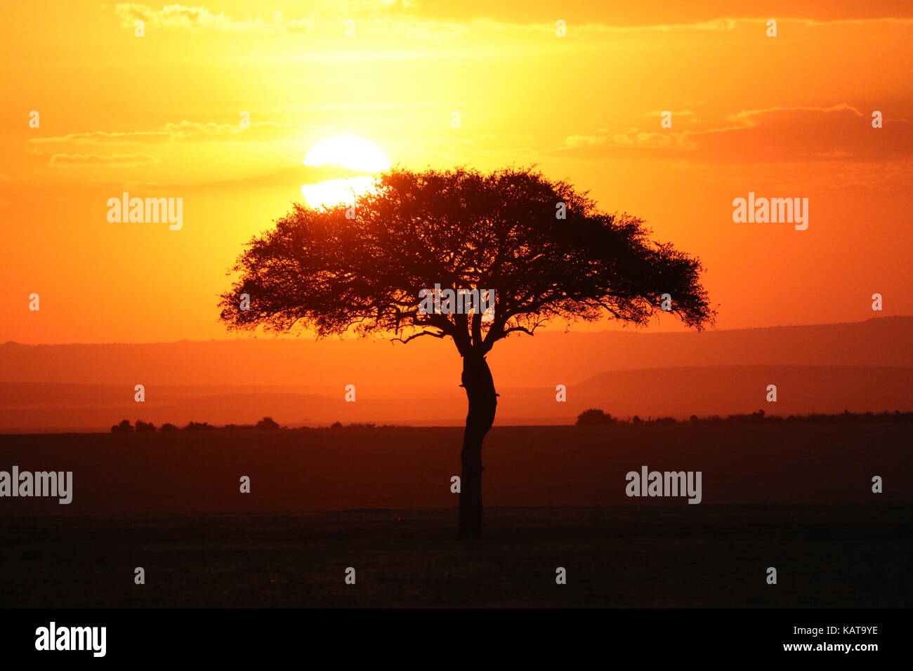 Beautiful sunset - Masai Mara National Reserve 0 Kenya Stock Photo - Alamy